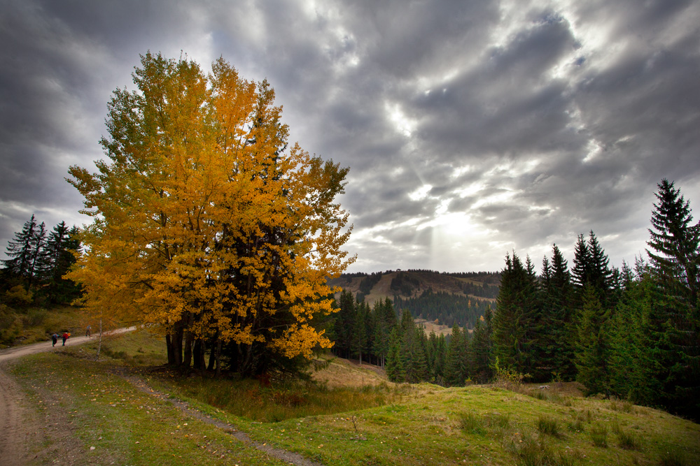 Balade automnale photo et image | paysages, paysages de montagne, les ...
