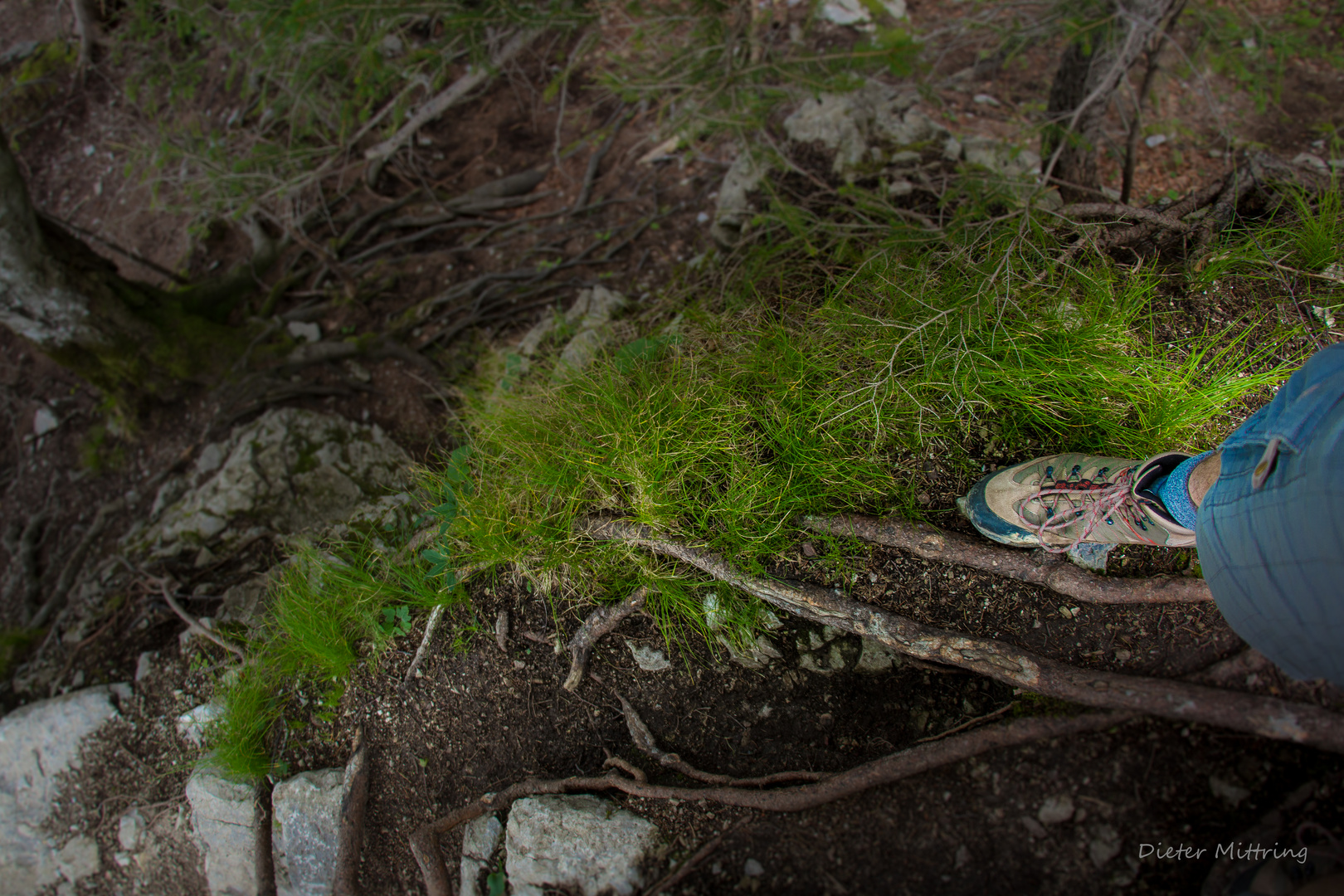 "Balanceakt..." Foto & Bild | spezial, fuß, natur Bilder auf fotocommunity