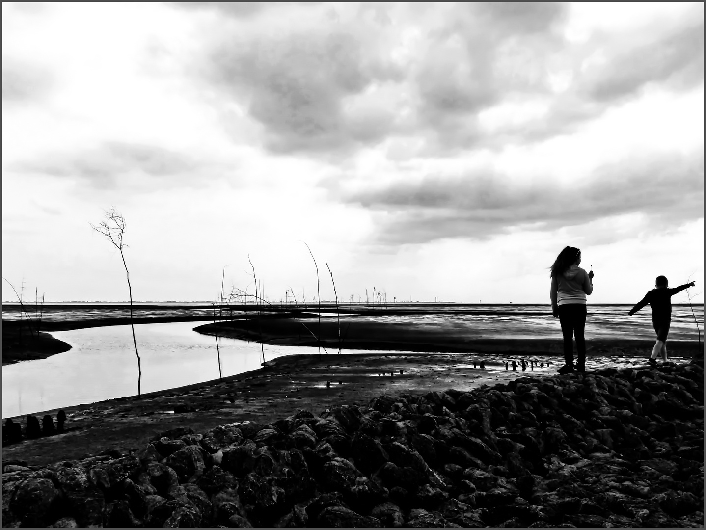 Balanceakt Foto & Bild | deutschland, europe, niedersachsen Bilder auf fotocommunity