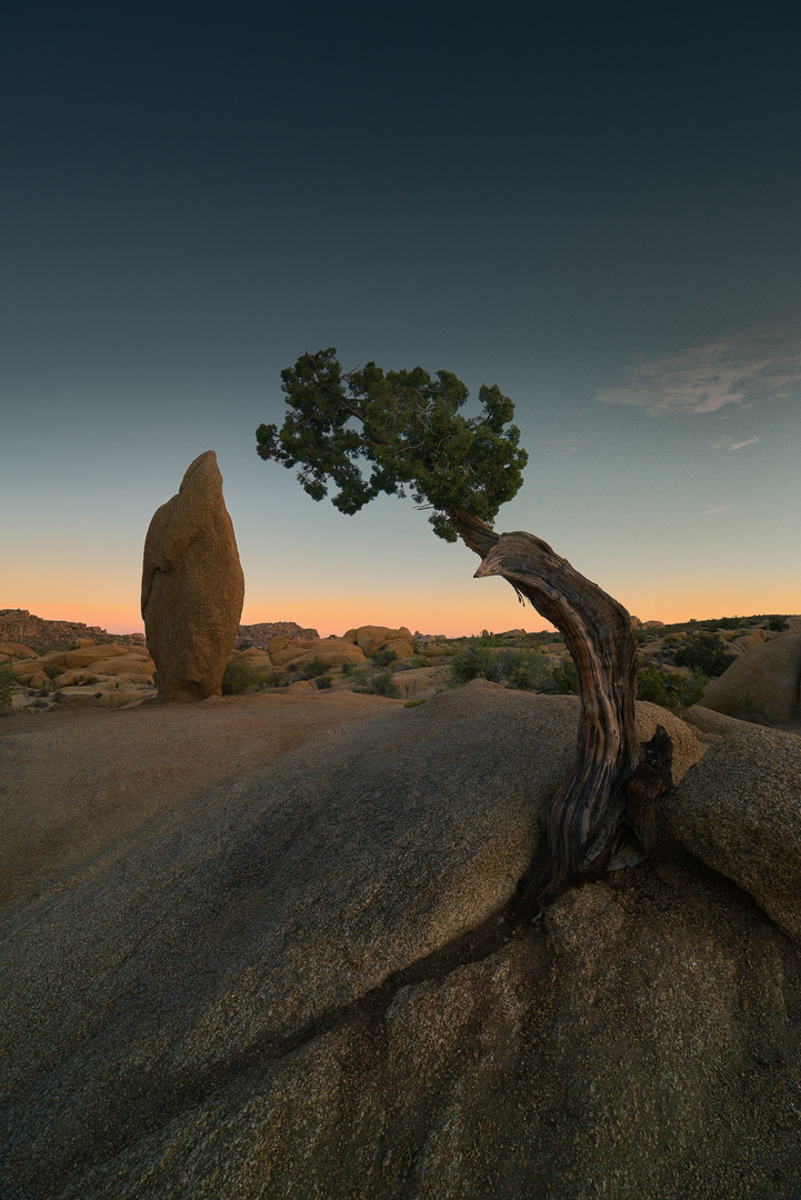 Balanced Rock and leaning juniper Foto & Bild | nature, sunset, usa ...