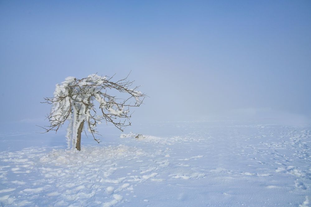 bald.... Foto & Bild | world, spezial, winter Bilder auf fotocommunity