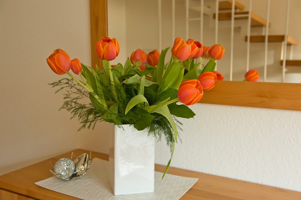 Bald wird's Frühling Foto & Bild | jahreszeiten, frühling, natur Bilder auf fotocommunity