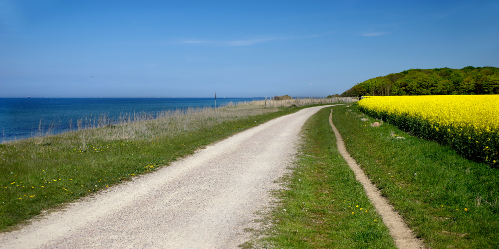 Baltic lines Foto & Bild | deutschland, europe, mecklenburg- vorpommern ...