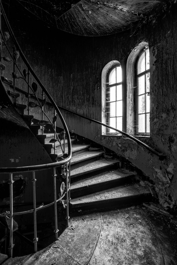 Banded Wentletrap Foto & Bild | architektur, lost places, marodes ...