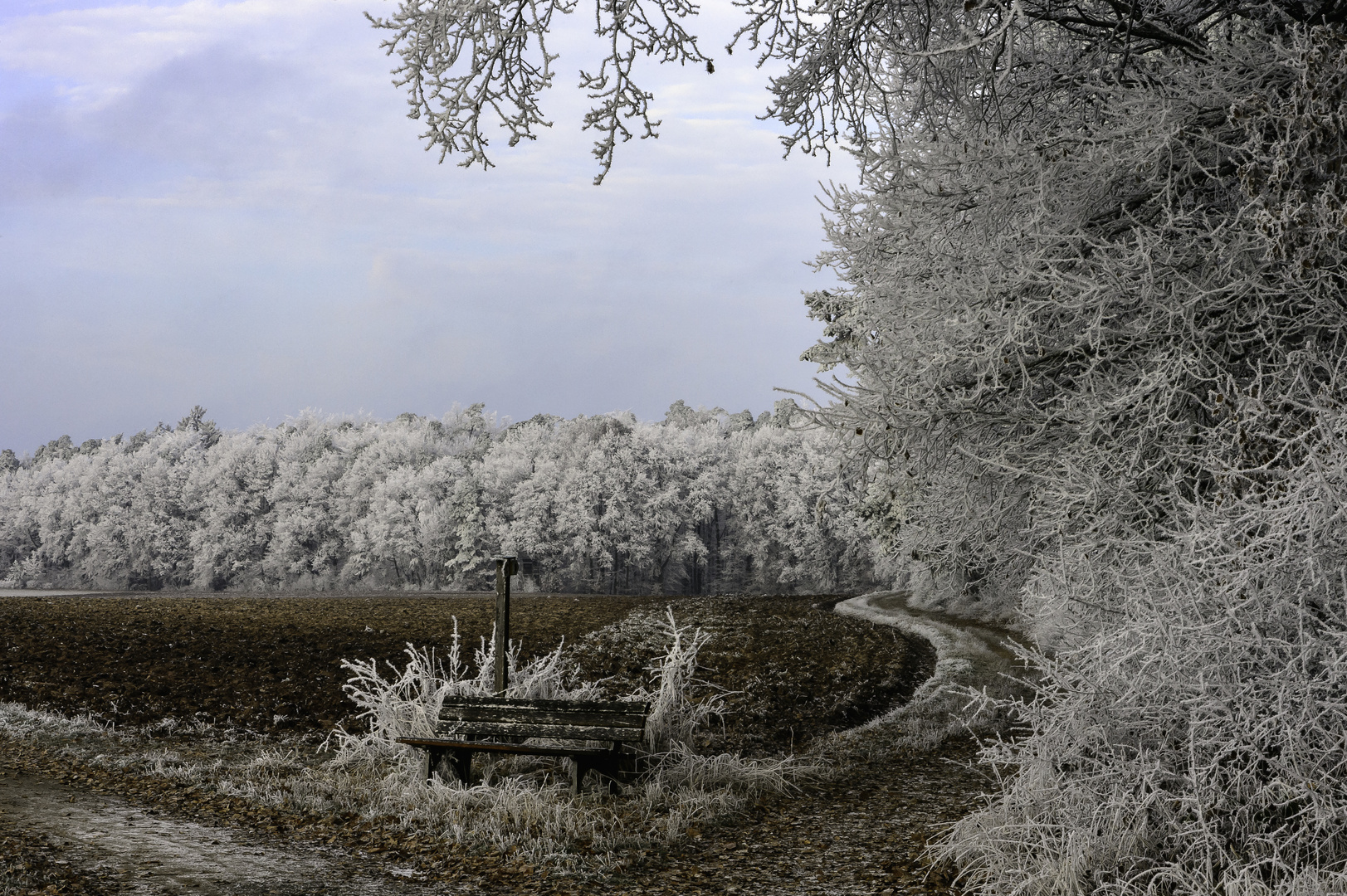 Bank im Winter Foto & Bild | gefroren, wald, dezember Bilder auf ...