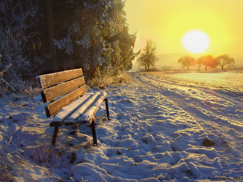 Bank im Winterland Foto & Bild | landschaft, lieblingsbilder, natur ...