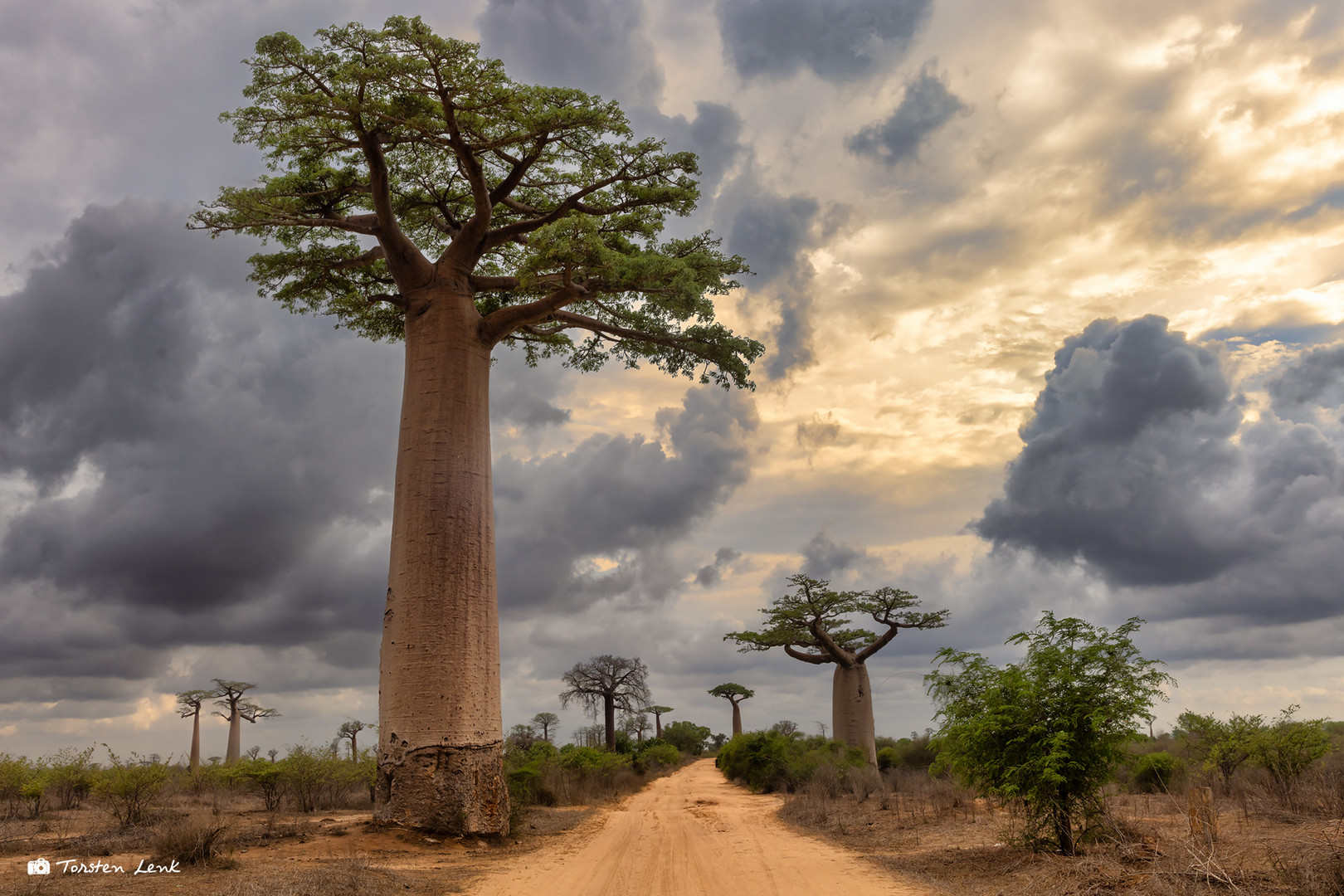Baobab Allee - Morondava Foto & Bild | africa, madagascar, eastern ...