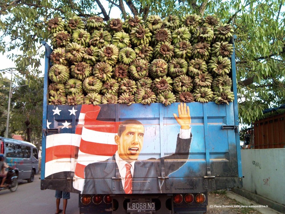 Barack O Banana photo et image | asia, indonesia, southeast asia Images ...