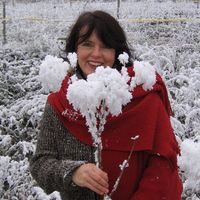 Barbara Pape - Fotos & Bilder - Fotografin aus Eschenz, Schweiz ...