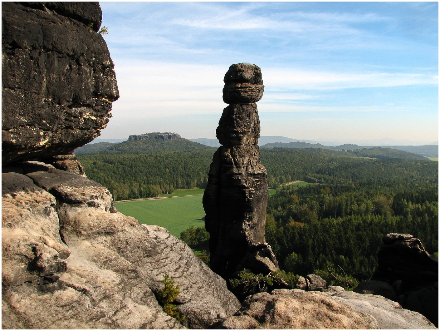 Barbarine Foto & Bild | wald, bäume, licht Bilder auf fotocommunity