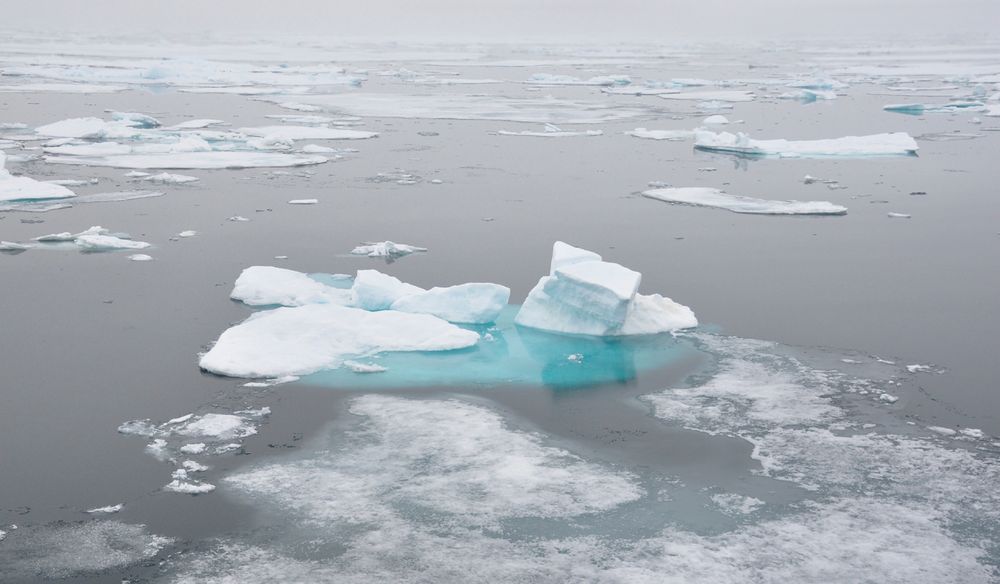 Barentssee Foto & Bild | world, meer, eis Bilder auf fotocommunity