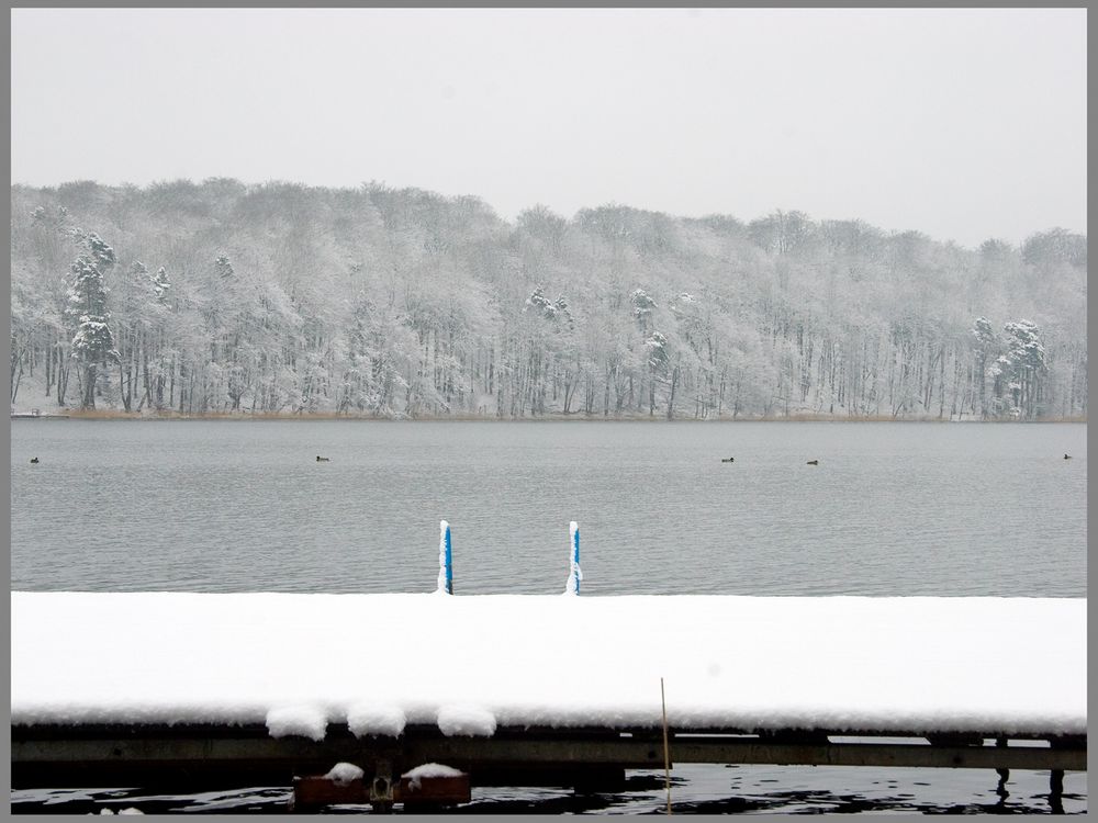 Barnim - Liepnitzsee im Winter Foto & Bild | jahreszeiten, winter, natur Bilder auf fotocommunity