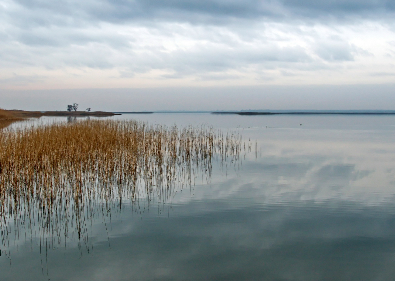 Barther Bodden Foto & Bild | landschaft, sonstiges, jahreszeiten Bilder ...