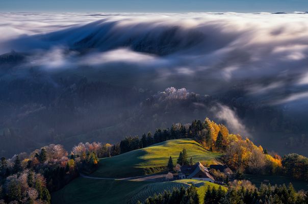 Nebelstimmungen Bilder & Fotos