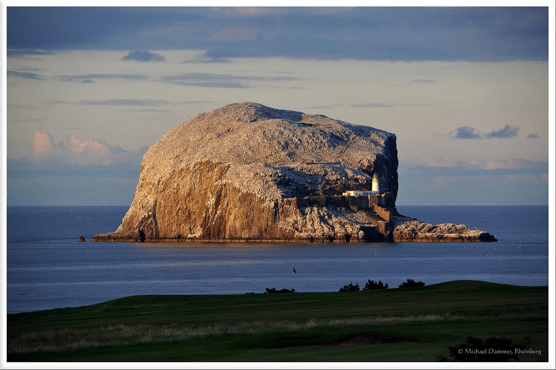 Bass Rock Foto & Bild | europe, united kingdom & ireland, scotland ...
