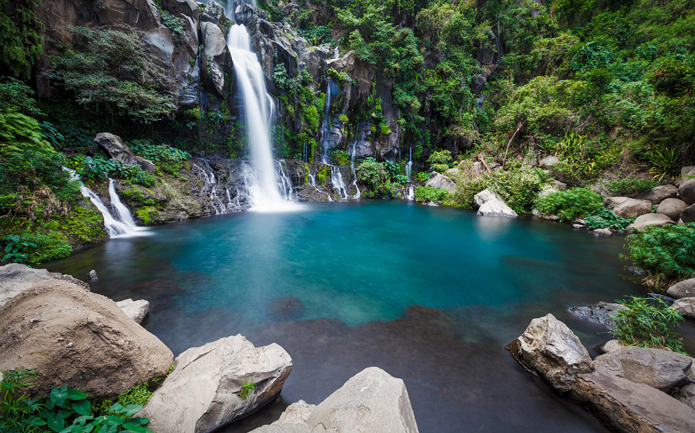 Bassin des Cormorans Foto & Bild | africa, eastern africa, mauritius ...