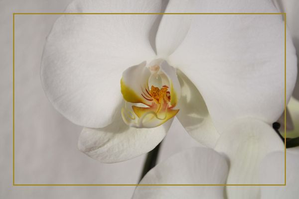 Nicole Oppermann - Fotos & Bilder - Fotografin aus Lüneburg ...