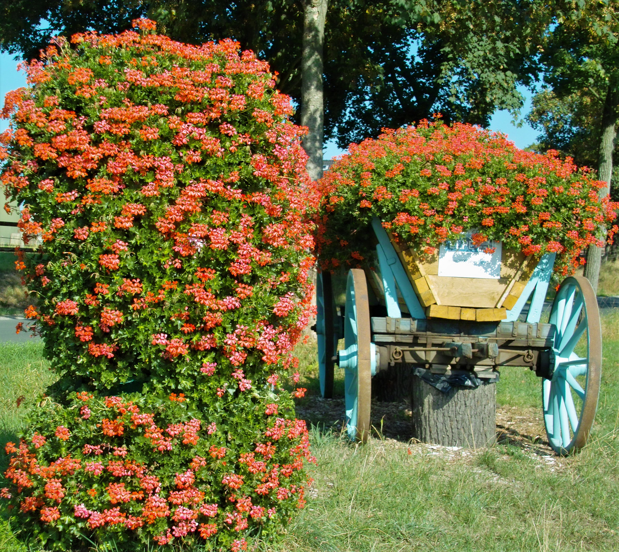 Bauernschaft Elpe Foto & Bild | natur Bilder auf fotocommunity