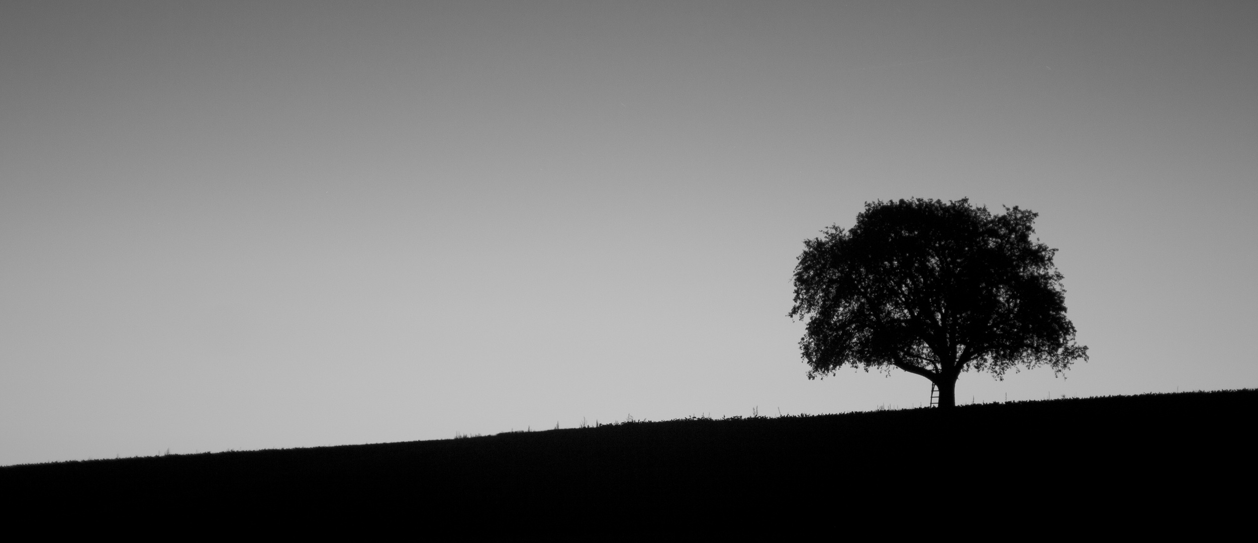 Baum Foto And Bild Landschaft Fotos Baum Bilder Auf Fotocommunity
