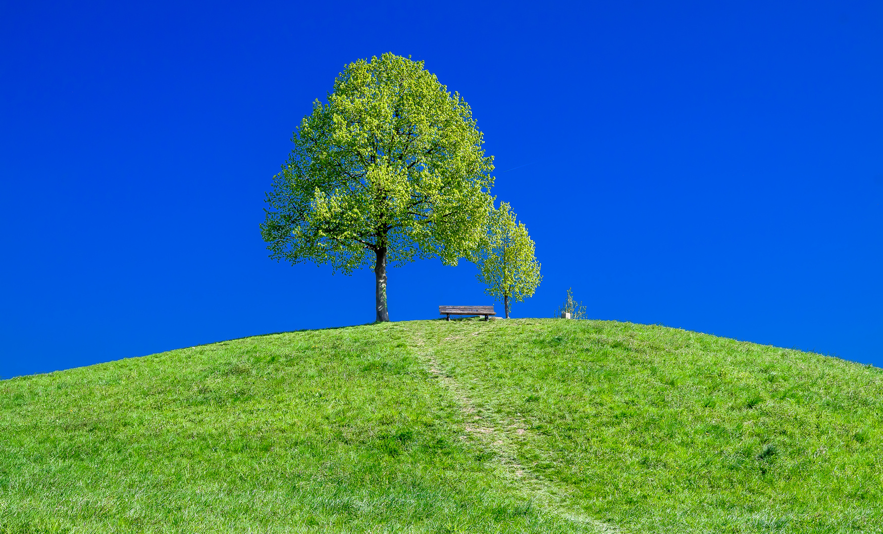 Baum Foto & Bild | natur, landschaft, pflanzen Bilder auf fotocommunity Baum Foto & Bild | natur, landschaft, pflanzen Bilder auf fotocommunity