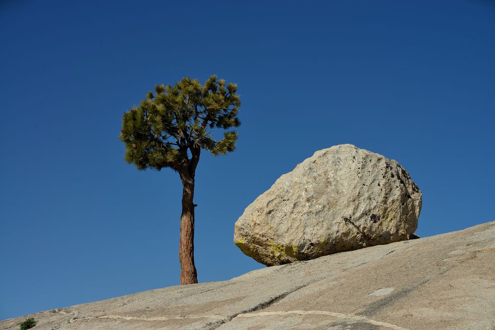 Baum & Fels Foto & Bild | north america, united states, national parks ...