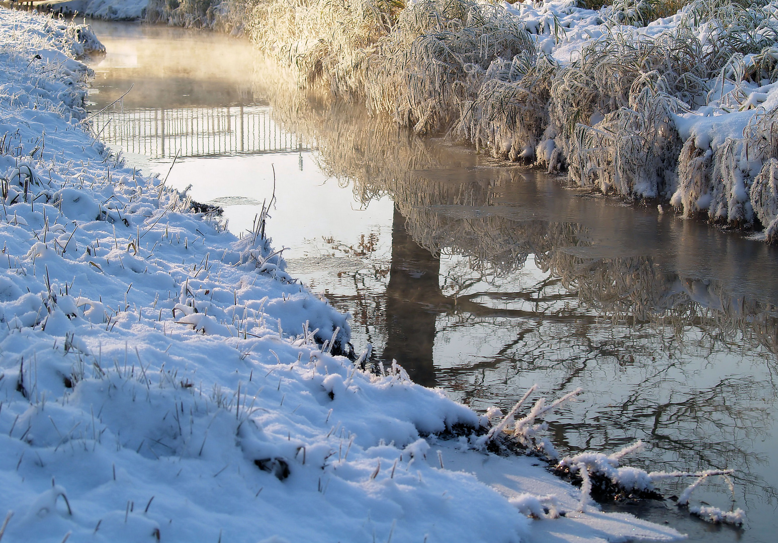 Baum im Bach Foto & Bild | jahreszeiten, winter, natur Bilder auf ...