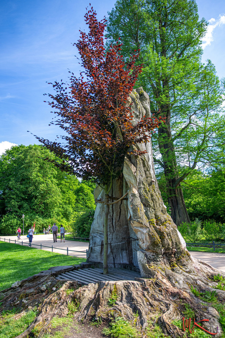 Baum im Baum Foto & Bild | park, bäume, natur Bilder auf fotocommunity