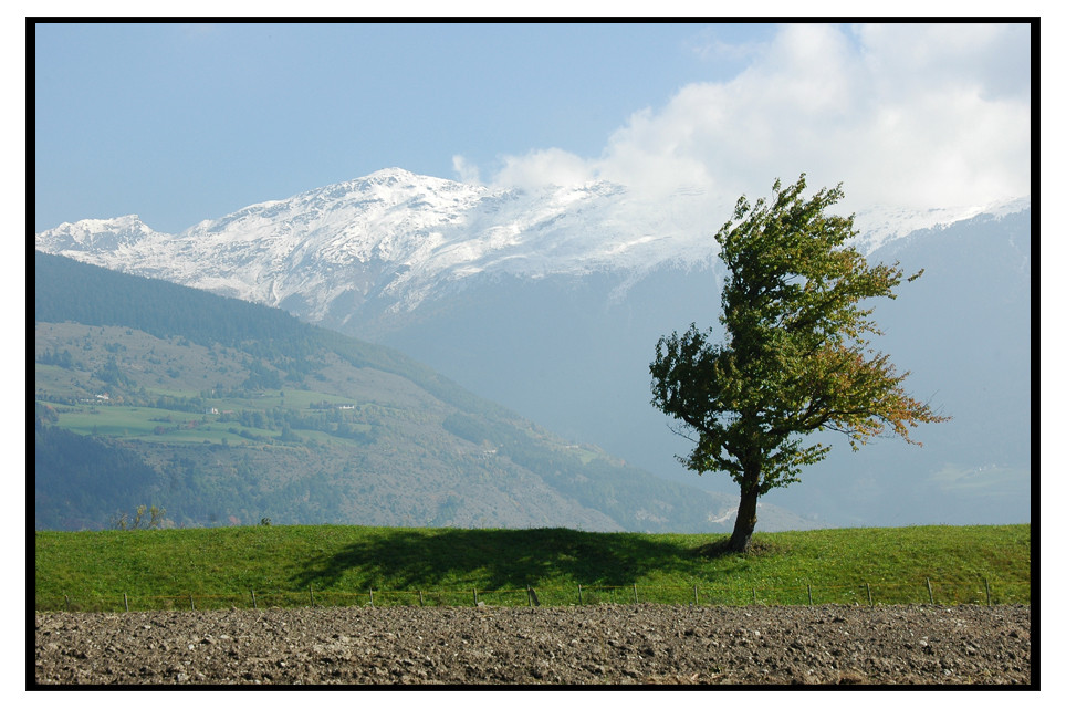 Baum im Wind - Bild & Foto von Valley aus fotocommunity Kalender ...