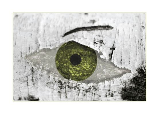 Marcus Schaper - Fotos & Bilder - Fotograf aus Buchholz, Deutschland ...