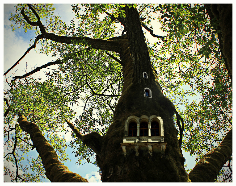 Baumhaus Foto & Bild | fotomontage, landschaften, baum Bilder auf fotocommunity