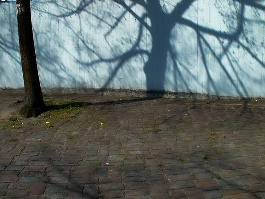 Schatten Bilder & Fotos