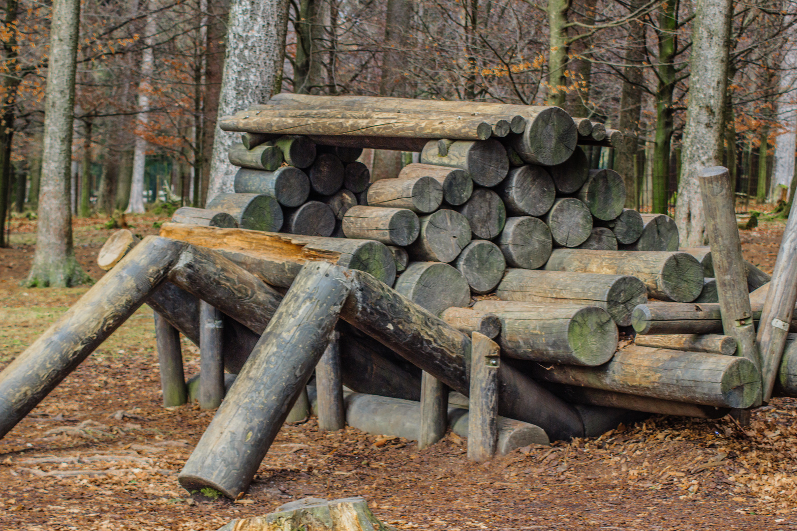 Baumstämme stapeln Foto & Bild | sonstiges, naturkunst, landschaft ...