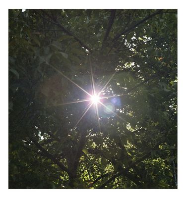 Simone Barton - Fotos & Bilder - Fotografin aus Ebersdorf, Deutschland ...