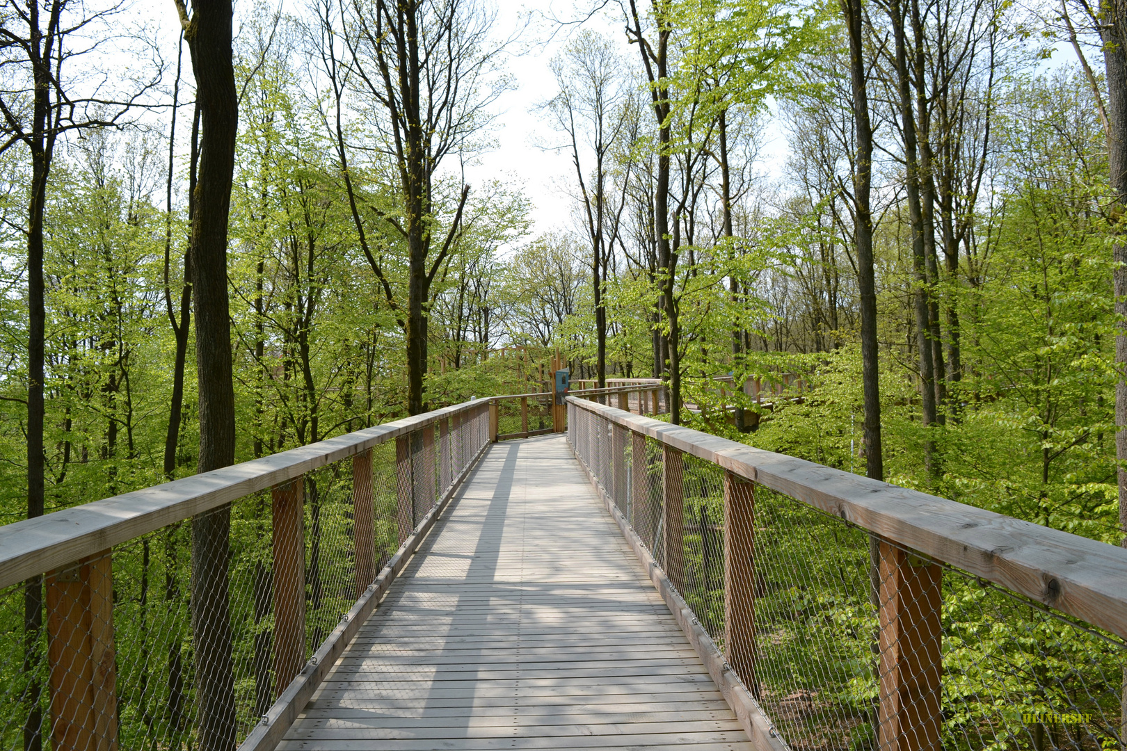 Baumwipfelpfad Steigerwald Foto & Bild | natur, landschaft Bilder auf ...