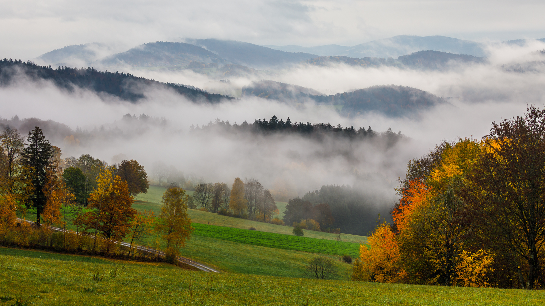 bayerwald Foto & Bild | landschaft, natur Bilder auf fotocommunity