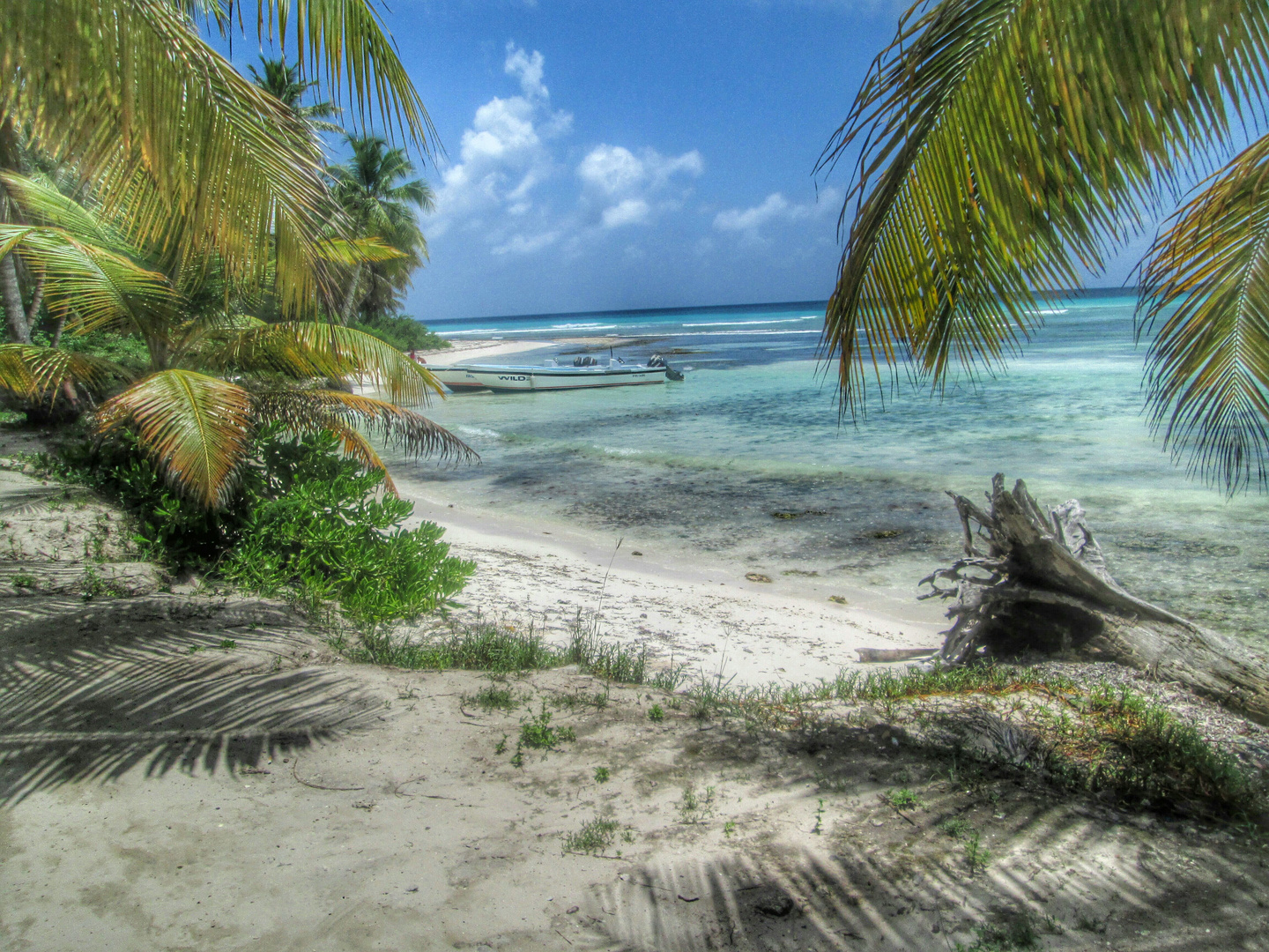Beach Ausblick Dom.rep Foto & Bild | juni, natur Bilder auf fotocommunity