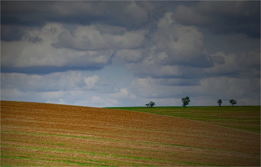 Bearbeitetes Feld Foto & Bild | bäume, himmel, felder Bilder auf ...