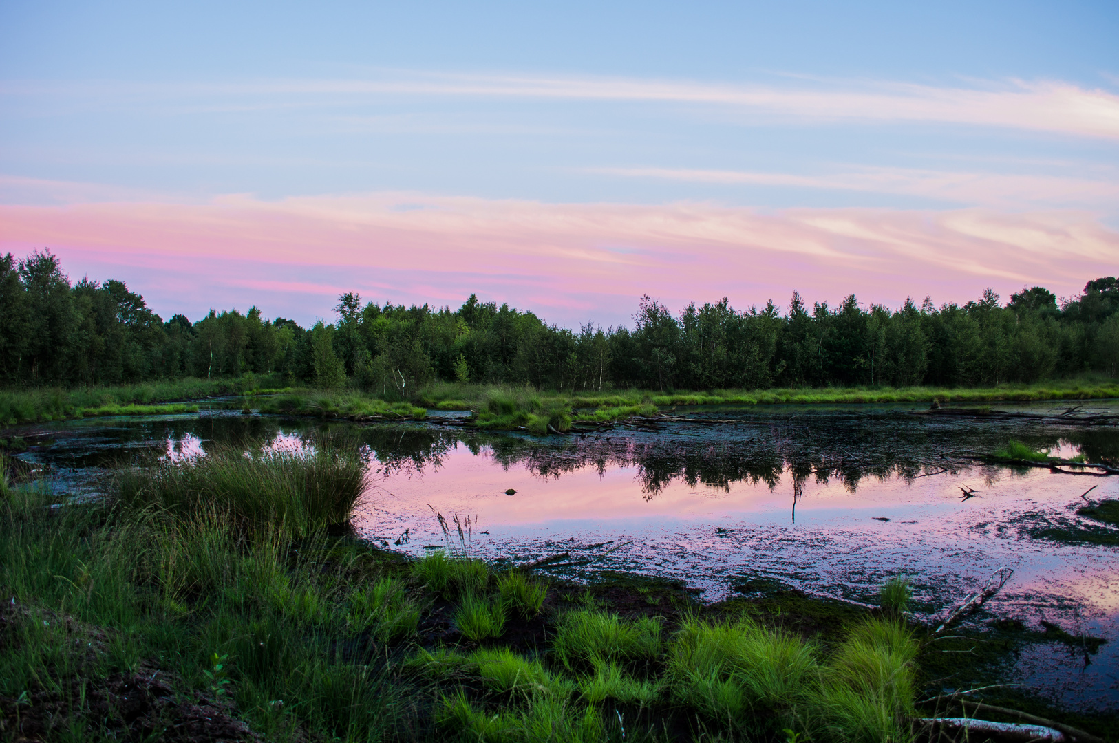 Beautiful Bog Foto & Bild | landschaft, moor, natur Bilder auf ...