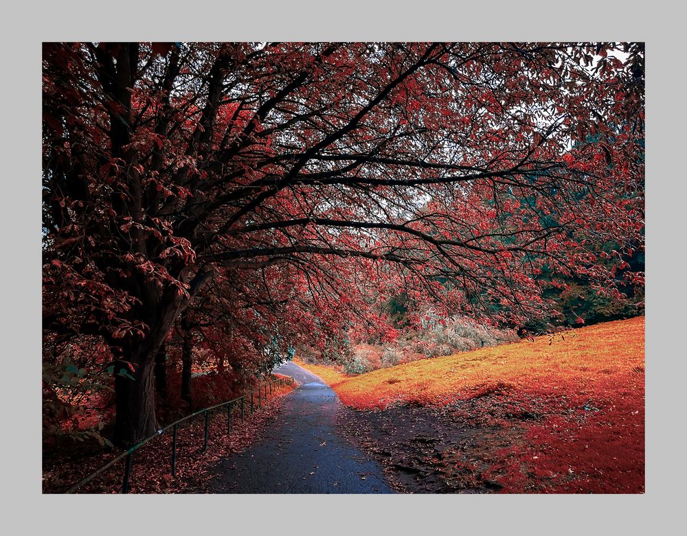 Beautiful Oktober Foto & Bild | landschaft, jahreszeiten, herbst Bilder auf fotocommunity