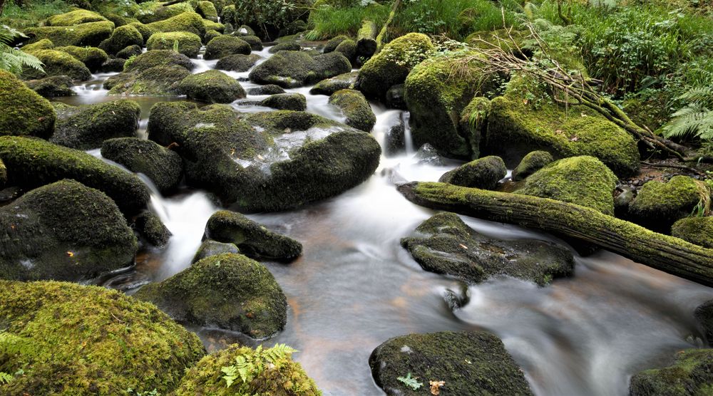 Becky Falls, Devon Foto & Bild | konstruktive bildbesprechung ...