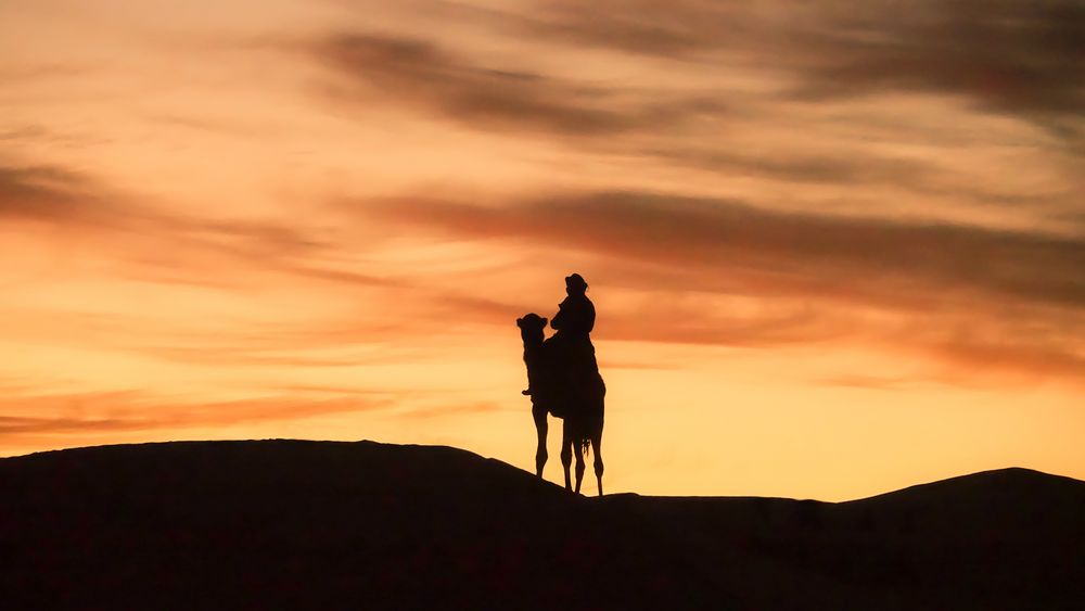 Beduine Foto & Bild | africa, morocco, north africa Bilder auf ...