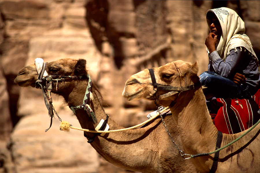 Beduine in Petra Foto & Bild | asia, middle east, jordan Bilder auf ...
