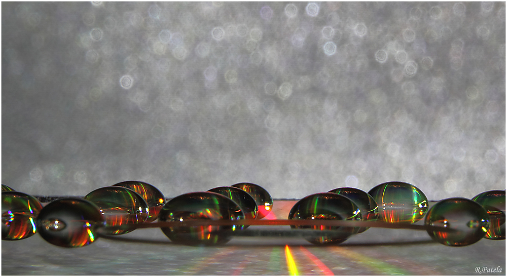 Befallen III Foto & Bild | stillleben, arrangierte szenen, sontiges ...