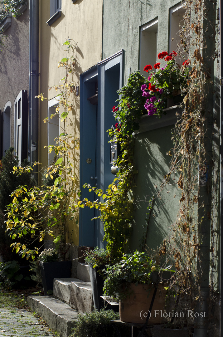 Begrünte Fassade Foto & Bild | deutschland, europe, thüringen Bilder ...