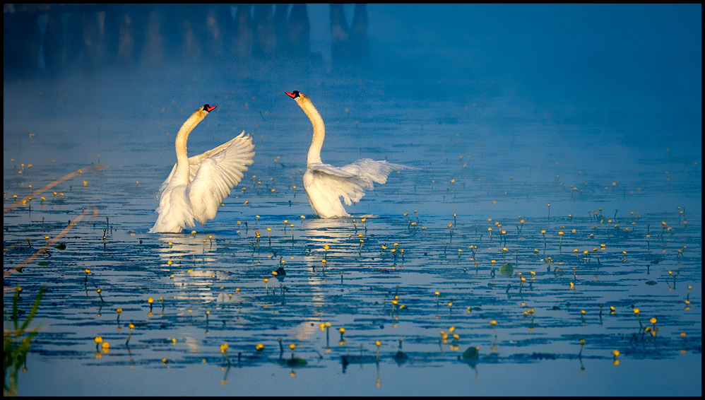 Begrüßung Foto & Bild | deutschland, europe, baden- württemberg Bilder ...