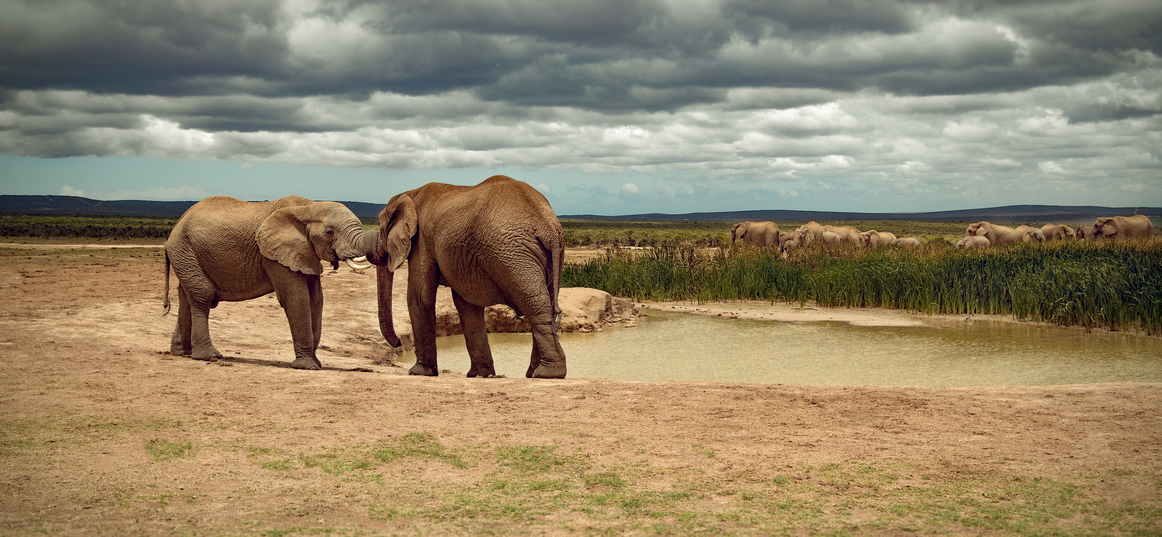 Begrüssung. Foto & Bild | fotos, natur, landschaft Bilder auf fotocommunity