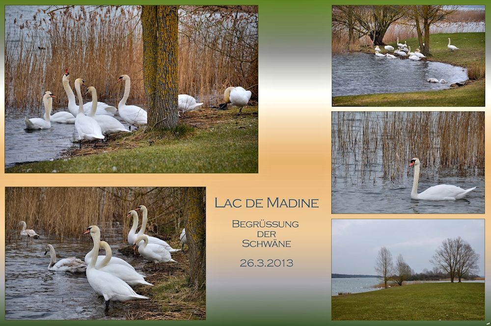 Begrüssung Foto & Bild | fotokunst, collagen aus mind. 9 bildern ...