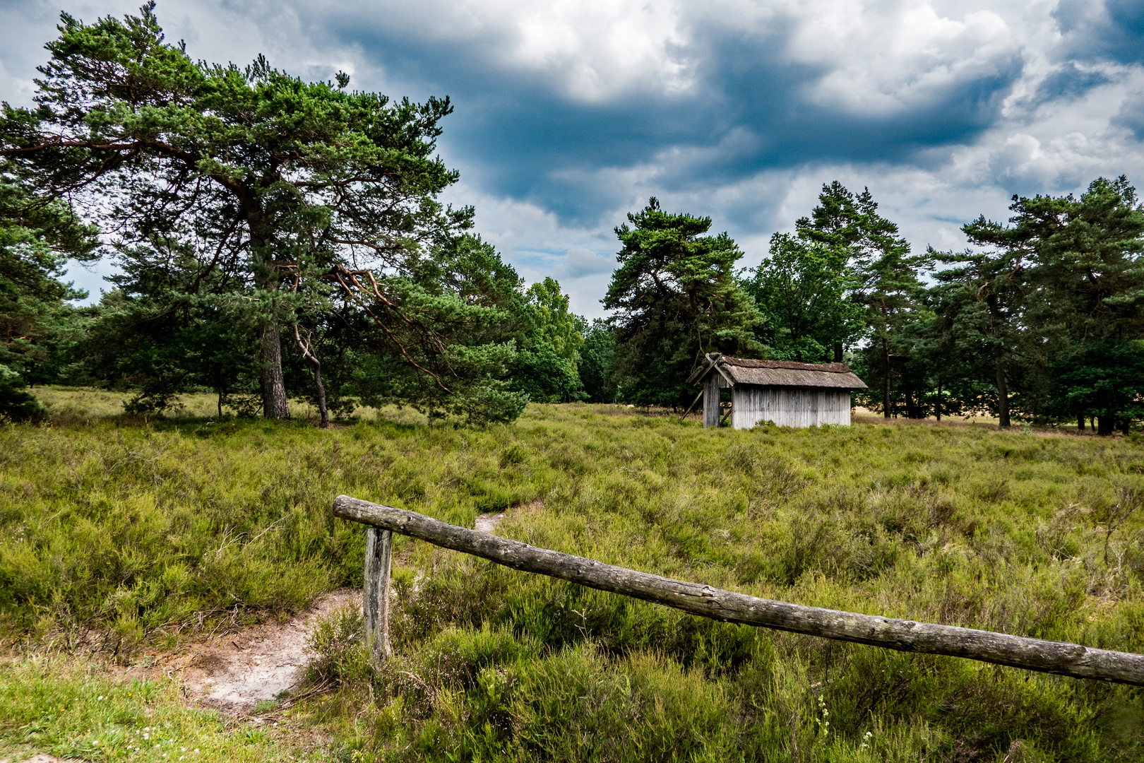 Behringer Heide Foto & Bild | himmel, natur, landschaft Bilder auf ...