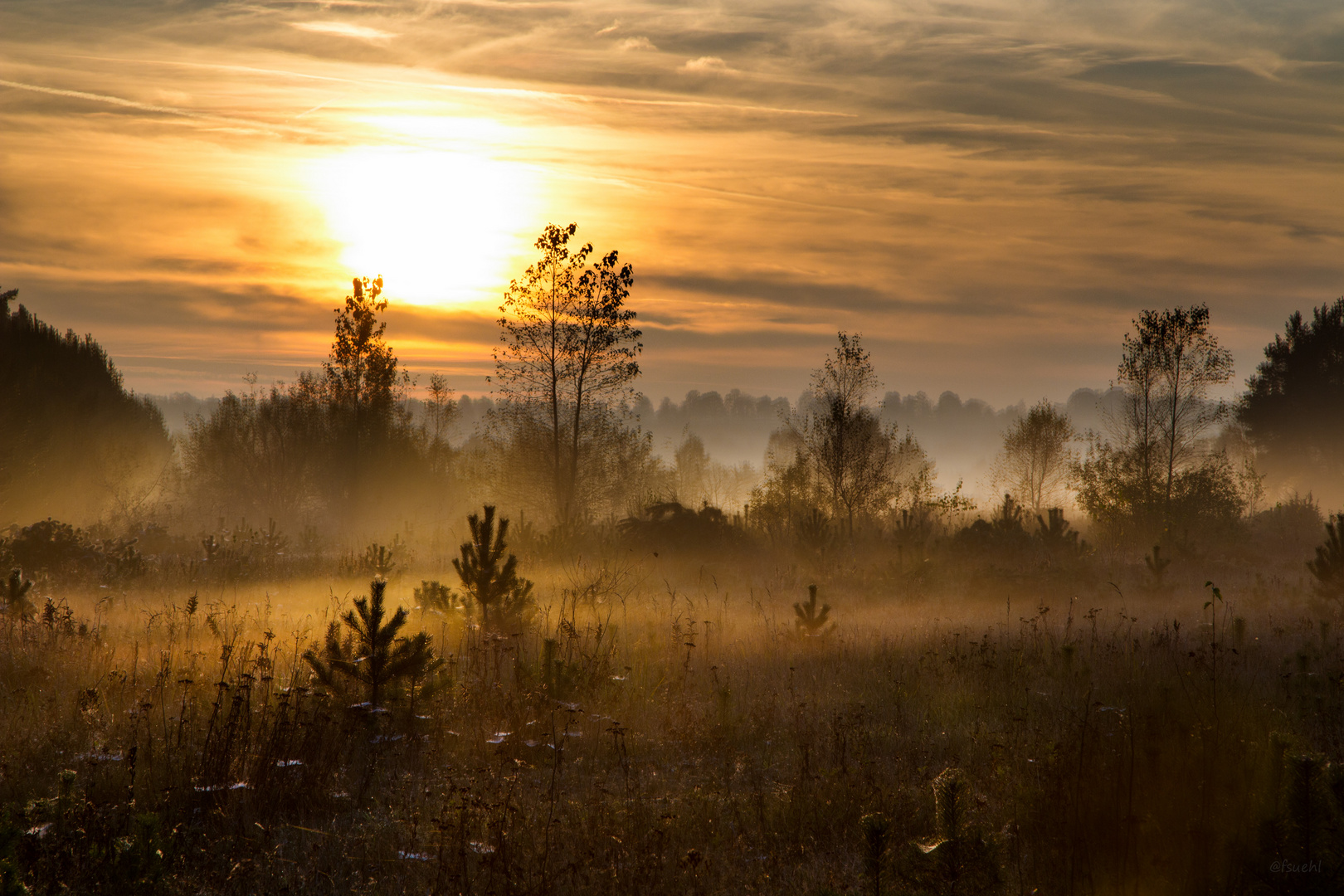 Behringer Heide Foto & Bild | landschaft, heide, lüneburger heide ...