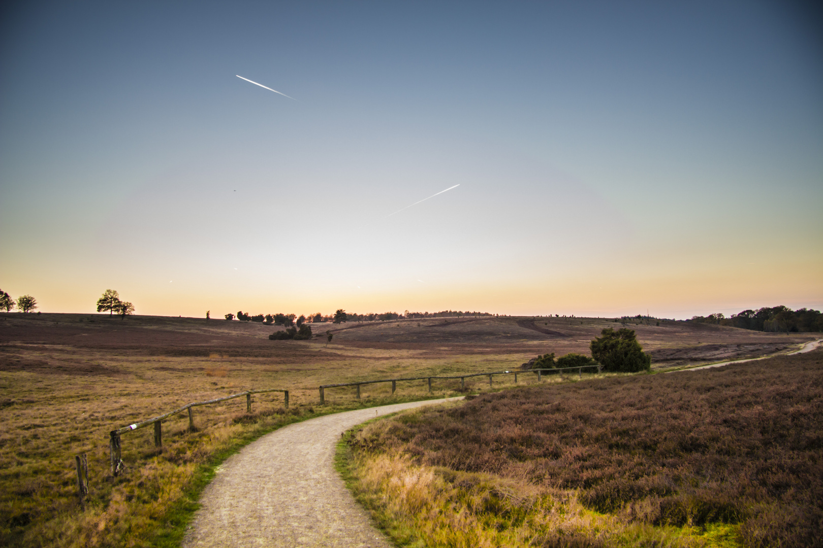 Behringer Heide Foto & Bild | landschaft, heide, lüneburger heide ...